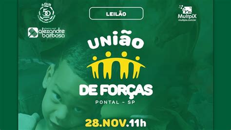 LEILÃO UNIÃO DE FORÇAS YouTube