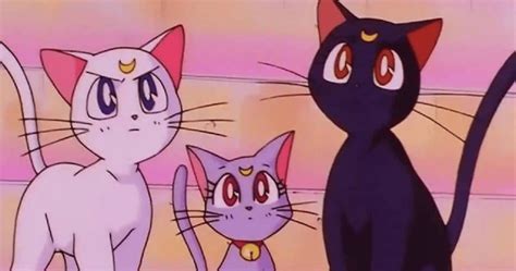 C Mo Se Llaman Los Gatos De Sailor Moon Como Se Llama El Anime