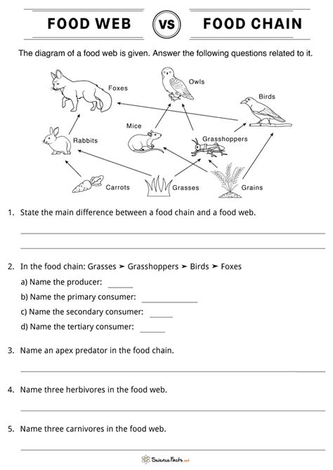 Food Webs And Food Chains Worksheets Free Pintables Worksheets Library