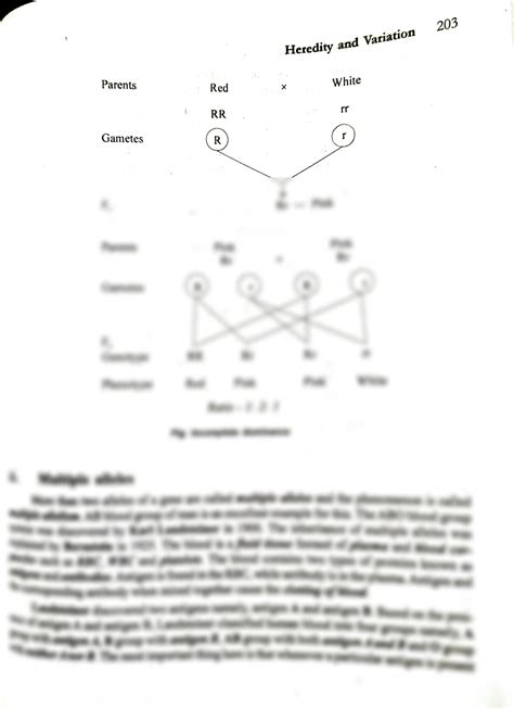 Solution Chromosomal Theory Of Inheritance Studypool