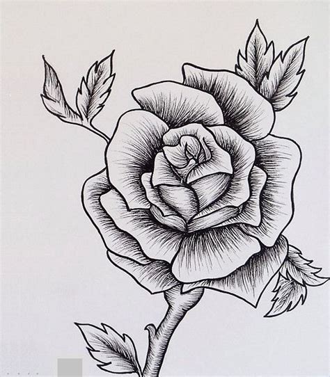 20 Best Cool Rose Drawing Ideas Flower Drawing