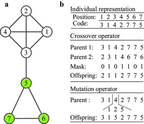 illustration of procedure of the multi objective genetic algorithm for download scientific