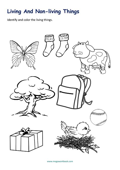 Living And Non Living Things Worksheets Characteristics Of Living