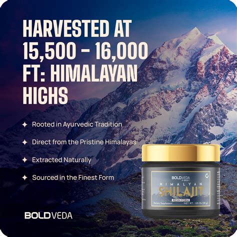 Shilajit Resina orgánica pura del Himalaya 1 06 oz de Shilajit