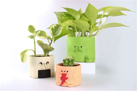 Las mejores plantas para macetas pequeñas Sun Grow
