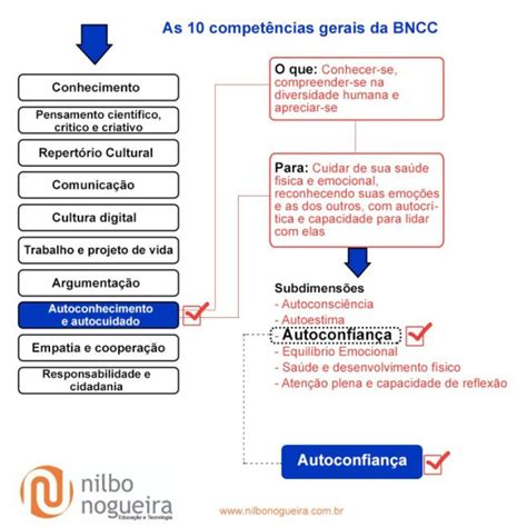 Habilidades Socioemocionais Na BNCC Vamos Por Partes 2a Parte