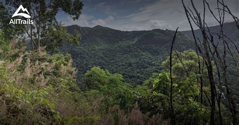 10 Best Trails And Hikes In Cairns AllTrails