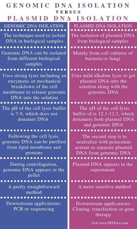 What Is The Difference Between Genomic Dna And Plasmid Dna Isolation
