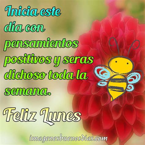 imágenes buenos días lunes 05 Imágenes Buenos Días