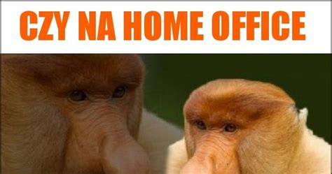 czy na home office memy gify i śmieszne obrazki facebook tapety