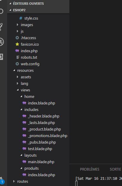css ne fonctionne pas par ellyse page 1 openclassrooms