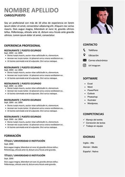 Ejemplo De Curr Culum T Cnico De Imagen Plantilla Gu A