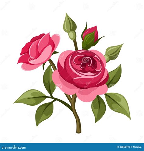 Ramificación De Rosas Rojas Ilustración Del Vector Ilustración del