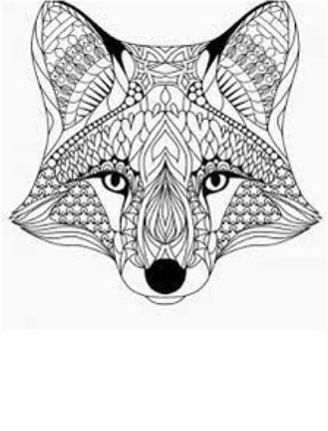 Detailed Fox Coloring Sheet Notability Gallery