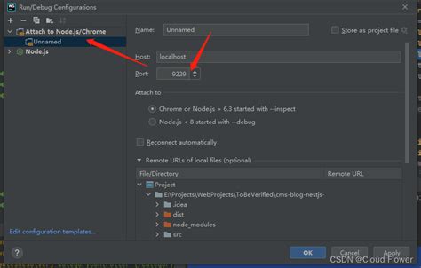 webstorm用attach to 调试nestjs项目 nest start watch csdn博客