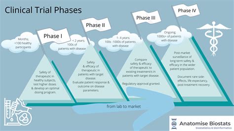Phases Of Drug Trials