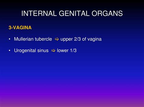 Ppt Embryology Of The Female Genital Tract Powerpoint