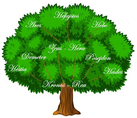 צולל מבשילים ו jak narysować drzewo genealogiczne krok po kroku מדויק