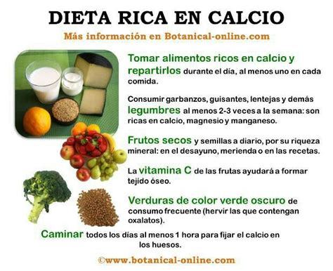 Dieta rica en calcio Alimentos ricos en calcio Planes de nutrición
