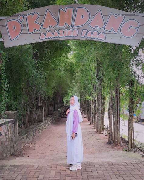 Tempat Wisata Murah Meriah Di Jabodetabek Xploring Indonesia