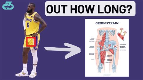 Expert Explains LeBron James Injury L Adductor Return Timeline