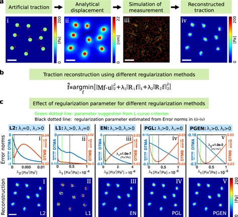 traction force microscopy with optimized regularization and automated bayesian parameter