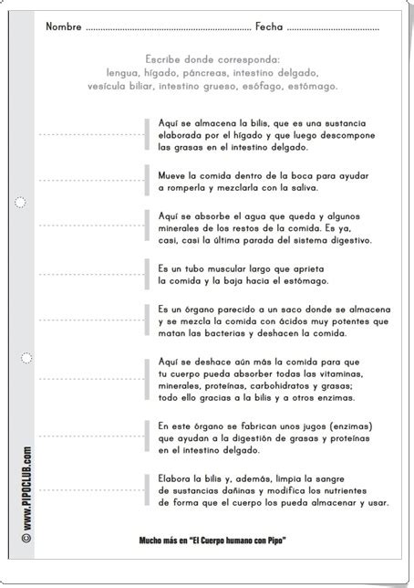 Recursos didácticos para imprimir ver leer El aparato digestivo de