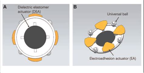 figure 1 from iterative learning control for motion trajectory tracking of a circular soft