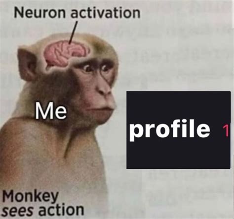 Neuron Activation Profile Monkey Sees IFunny Brazil