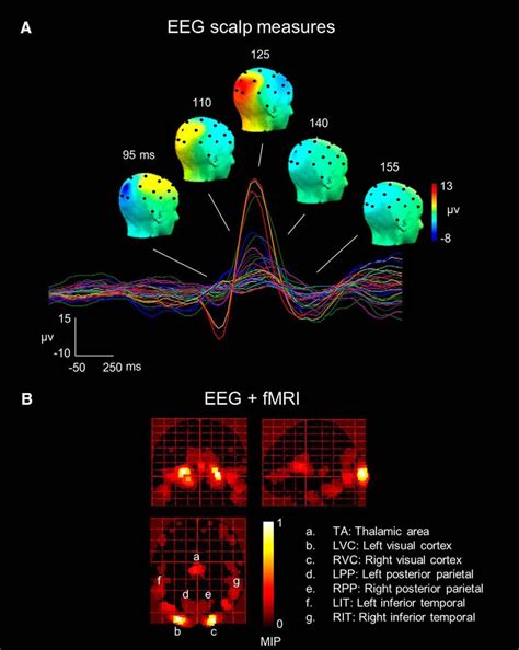 EEG Electroencephalography Signal Processing For Dummies With Images