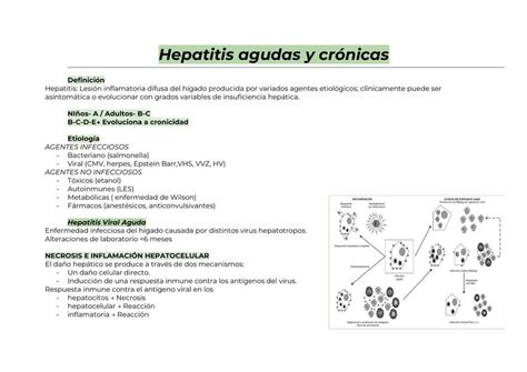 Hepatitis agudas y crónicas Angela Dominguez uDocz