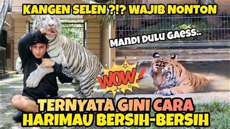 Reaksi Ketika Selen Kangen Alshad Ahmad Dan Liatin Ekshan Mandi