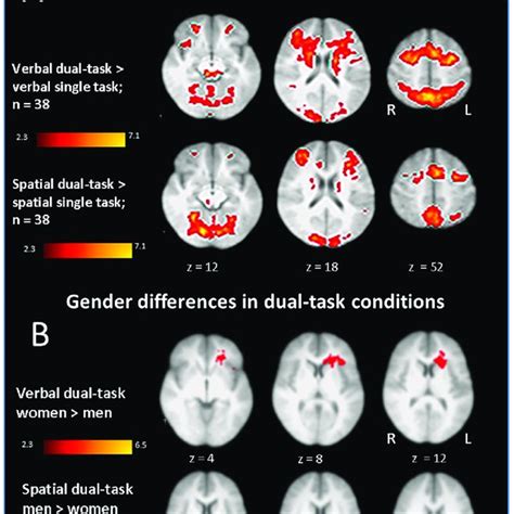 activation patterns for all verbal and spatial dual tasks compared with download scientific