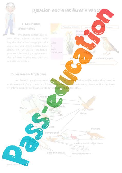Relation Entre Les Tres Vivants Cm Cm Exercices Pass Education