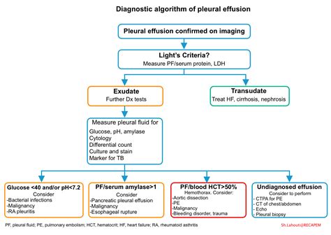 Pleural Effusion In Critically Ill Patients Recapem