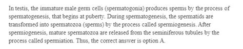 Process Of The Maturation Of Spermatids Into Spermatozoa Is Known As