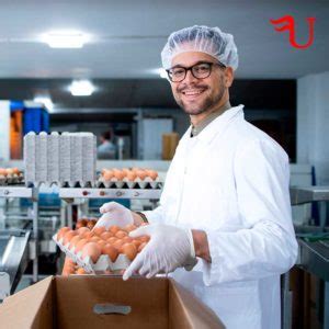 Curso de Organización de la Explotación Avícola Formación Universitaria