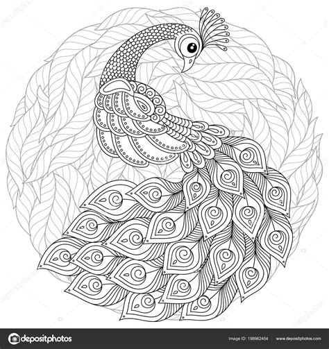 Imagenes De Pavos Reales Para Colorear Dibujos Para Colorear Plumas