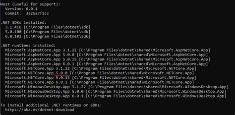 error 500 31 failed to load asp core runtime programming questions and solutions blog