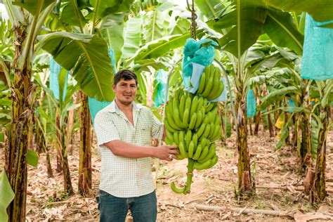 Región Andina CLAC FAIRTRADE