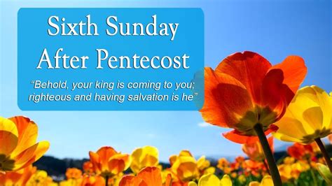 Sixth Sunday After Pentecost July 9th 2023 YouTube