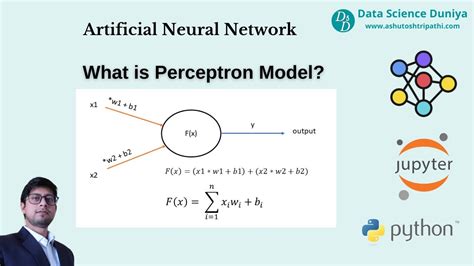What Is Perceptron Model In Artificial Neural Network Ann Neural