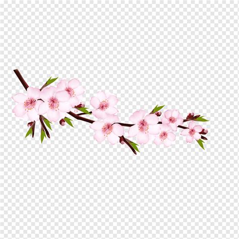 Recopilación imagen 100 flor de cerezo png transparente Abzlocal mx