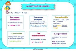 Nature Et Fonction Cm Exercice Valuation R Vision Le On Pdf