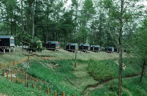 10 Tempat Glamping Malang Lokasi Jam Buka Harga