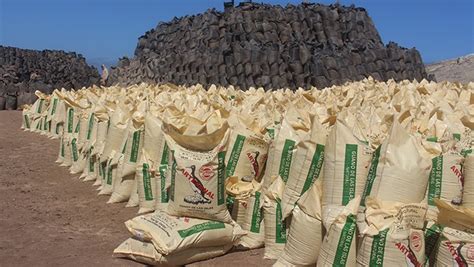 MIDAGRI Agro Rural recolectará 24 mil toneladas de guano de las islas