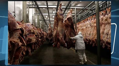 Consumo De Carne Bovina Deve Cair Ao Menor N Vel Em Anos No Brasil