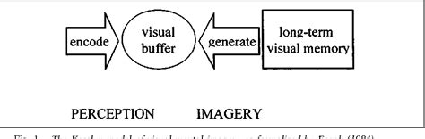 Figure 1 From The Relationship Between Visual Perception And Visual