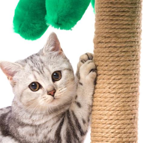 Descobrir 74 Imagem Casas Para Gatos Faciles De Hacer Abzlocal Mx