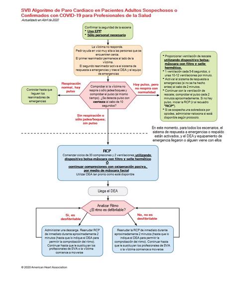 Patología Crítica on Twitter En Castellano SVB Soporte Vital